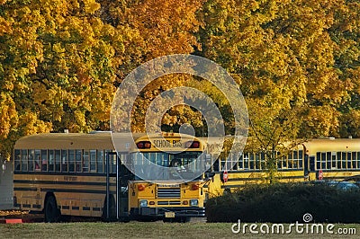 School Buses At End Of Day Royalty-Free Stock Image | CartoonDealer.com ...