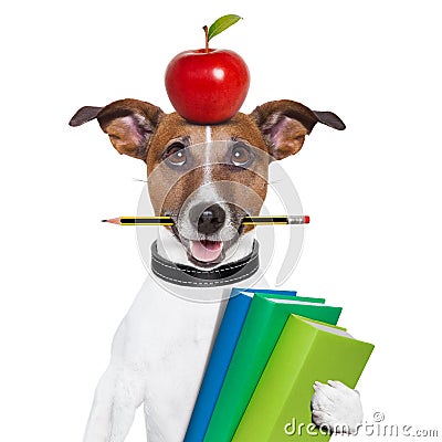 School Dog Stock Photography - Image: 29680072