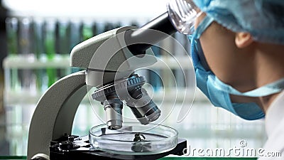 Scientist Observing Plant Under Microscope, Breeding Of Vegetable ...