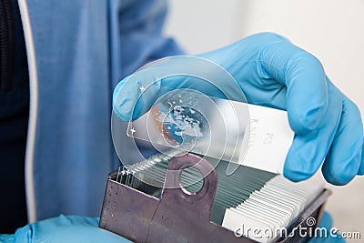 Scientist Placing Slides With Paraffin Embedded Tissue Samples Into A ...