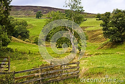 Scottish Lowlands Royalty Free Stock Image - Image: 21895296