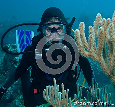 838 Diving Pose Photos - Free & Royalty-Free Stock Photos from Dreamstime