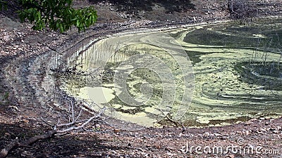 Scum on surface of river. stock video. Video of forest - 182304141