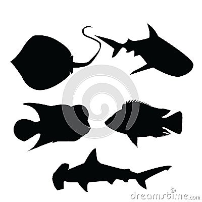 Sea Fish Shadow Cartoon Vector | CartoonDealer.com #45126727