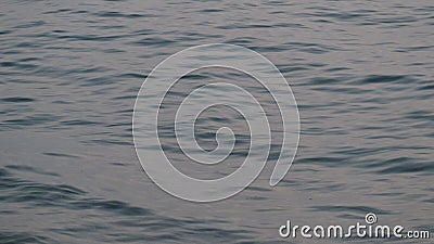 Sea Surface Undulation, Surface Movement of the Sea Stock Footage ...