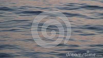 Sea Surface Undulation, Surface Movement of the Sea Stock Footage ...