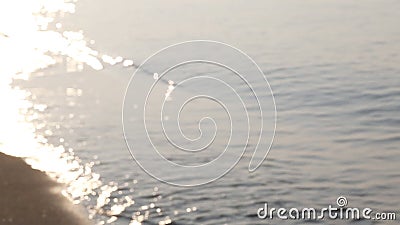 Sea Surface Sparkling Beach,abstract Blurry Background at the Seaside ...