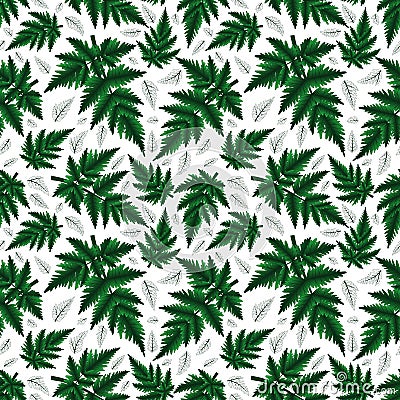 Seamless Fern Pattern Vector Illustration | CartoonDealer.com #83391528