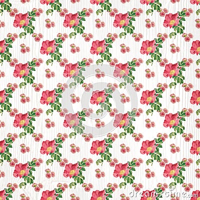 Seamless Floral Pattern Paper Wallpaper Royalty-Free Stock Photography ...