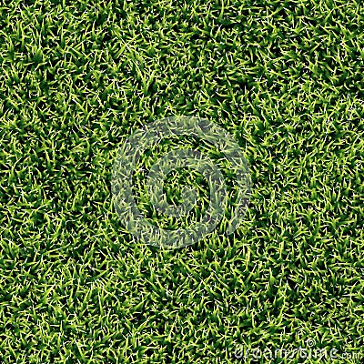 Seamless Grass Texture Stock Photo | CartoonDealer.com #38820126