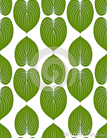 Hosta Leaf Texture Cartoon Vector | CartoonDealer.com #151822101
