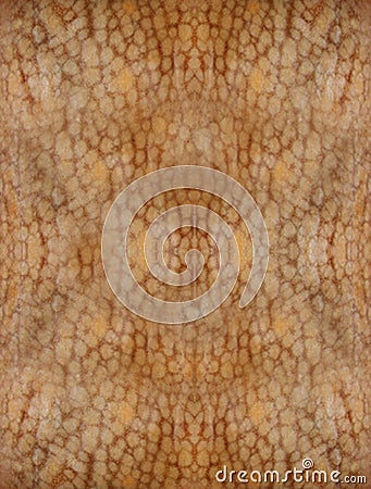 The Seamless Texture Of An Octopus Royalty Free Stock Image - Image ...