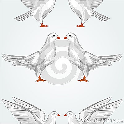 Seamless Texture White Dove Vector | CartoonDealer.com #54902015