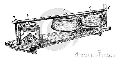 Seed Swelling Vintage Illustration | CartoonDealer.com #163233422