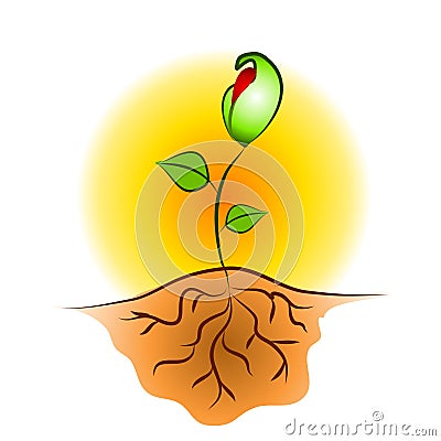 Seedling Plant Roots Clip Art Royalty-Free Illustration | CartoonDealer ...