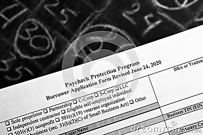 Selective Focus Monochrome Photo Of Paycheck Protection Program ...