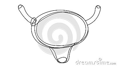 Self-drawing of the Bladder in One Line on a White Screen. Stock Video ...