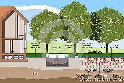 SEPTIC SYSTEM CONCEPT ILLUSTRATION - Septic Drain Fields, Also Called ...