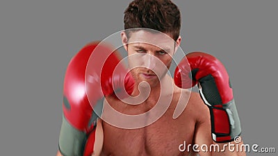 Serious Muscular With Gloves Boxer Practising Stock Video - Video of ...