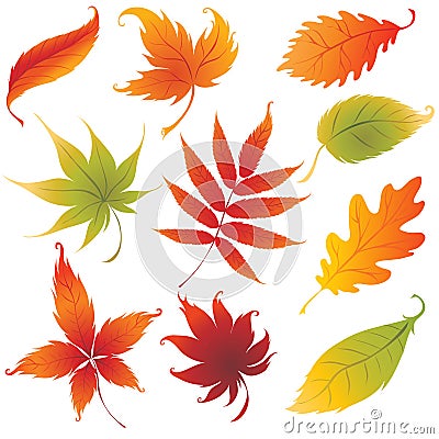 Set Of Autumn Leaves Design Elements Royalty Free Stock Image - Image ...