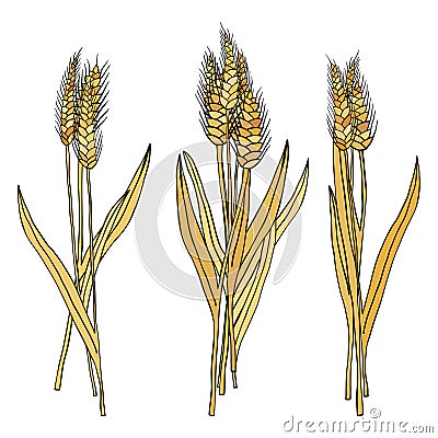 Set Of Cartoon Doodle Wheat Sheaves Stock Photography | CartoonDealer ...