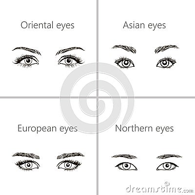 Set Of Different Types Of Eyes. Stock Vector - Image: 76082282