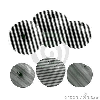 Set Of Engraving Apples Isolated On White. Vector Retro Illustration ...