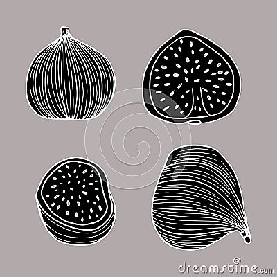 Set Of Isolated Figs, Linocut, Line Art Vector Illustration ...