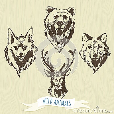 Set Of Marker Hand-drawn Forest Animals: Wolf, Bear, Deer, Fox Stock ...