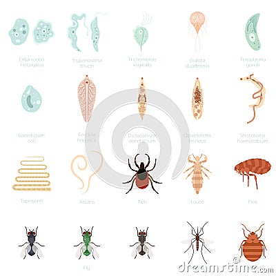Set Of Parasites Vector Illustration | CartoonDealer.com #71730502