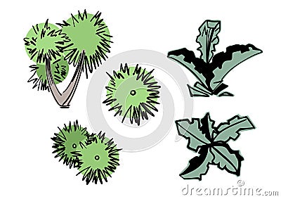 Set Of Thorn Bushes, Front View, Plan View. Hand Drawn Illustration ...