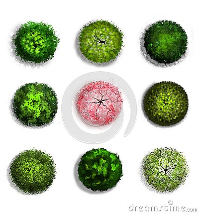 Set Of Tree Top Symbols Stock Image | CartoonDealer.com #93705907