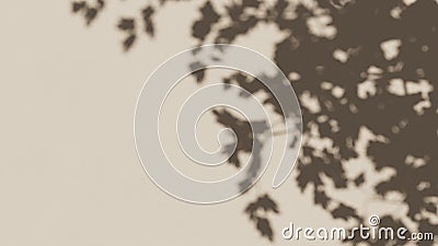 Shadow of Moving Tree Leaves on the Wall Loopable Background. 3d Render ...