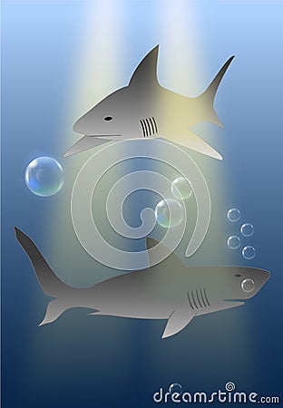 Sharks In Ocean - Marine Predators Cartoon Vector | CartoonDealer.com ...