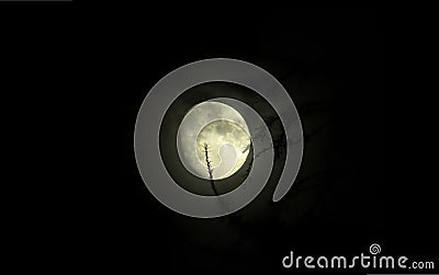 Sharp Moon Royalty-Free Stock Image | CartoonDealer.com #49997428