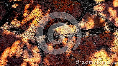 Sharp Stone Wall Tree Shadow Hd Footage Nobody Stock Footage - Video of ...