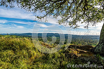 Shell Ridge And Mount Diablo State Park Royalty-Free Stock Photo ...