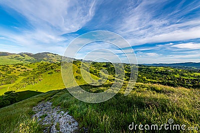 Shell Ridge And Mount Diablo State Park Stock Photo | CartoonDealer.com ...