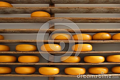 Shelves With Cheese Stock Image - Image: 3104051