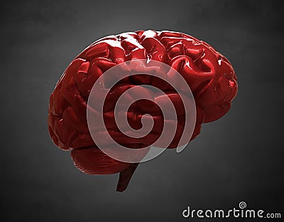 Shiny Brain Royalty-Free Illustration | CartoonDealer.com #75931530