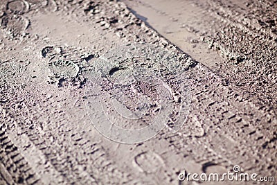Shoe Print In The Mud Stock Photo - Image: 73801312