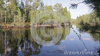 The Shore of the Spring Taiga River. Splash on the Water Stock Footage ...
