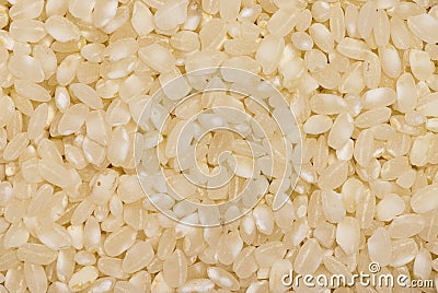 Short Grain Rice Background Stock Photo | CartoonDealer.com #12478914
