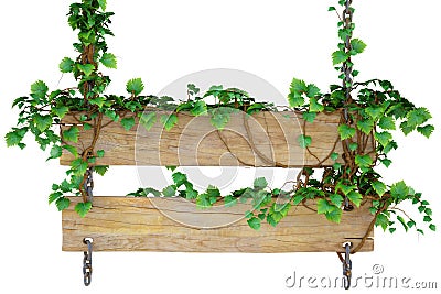 Wooden sign with ivy stock vector. Illustration of advertising - 24504711