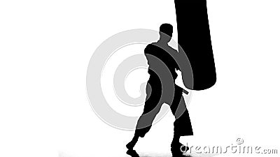 Silhouette Karate Man Practicing on the Sandbag on Stock Footage ...