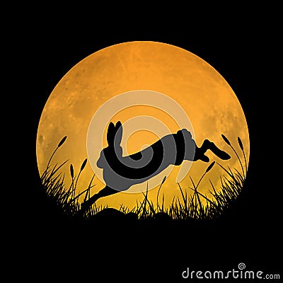 Silhouette Of Rabbit Jumping Over Grass Field With Full Moon Background ...