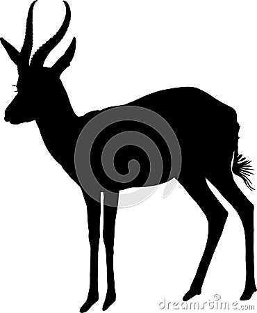 Silhouette Of A Standing Springbok Antelope Cartoon Vector ...