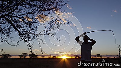 Silhouetted Man Whipping the Tree`s Leaves Stock Footage - Video of ...