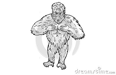 Silverback Gorilla Thumping Chest Cartoon Stock Illustration ...