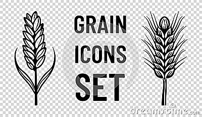 Simple Grain Icons - Different Vector Illustrations Isolated On ...